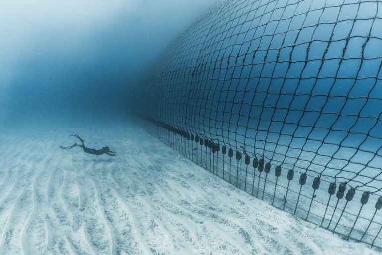 Sérénité retrouvée à La Réunion avec les Filets anti-requins