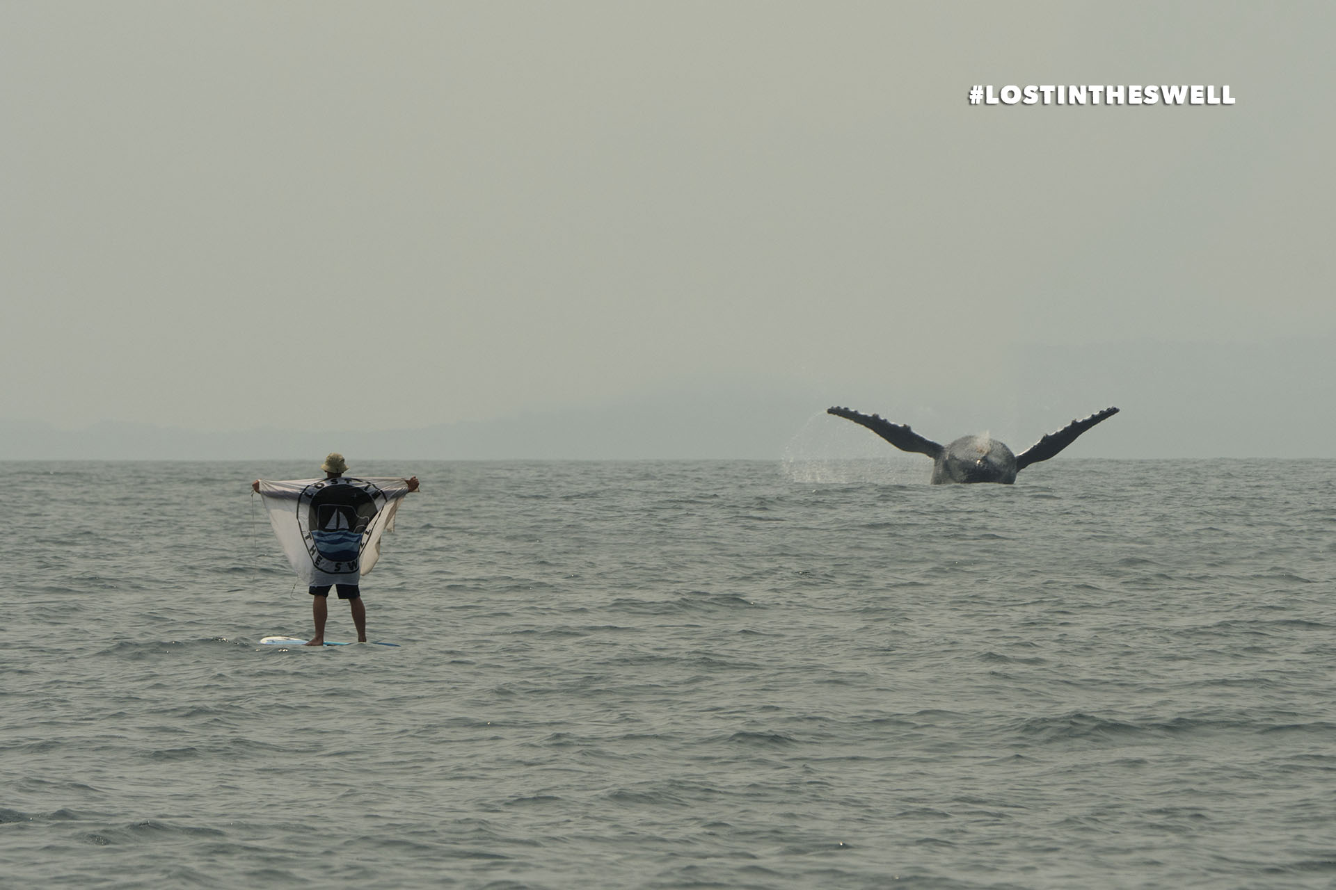 Les surfeurs de Lost in The Swell en mission au Gabon